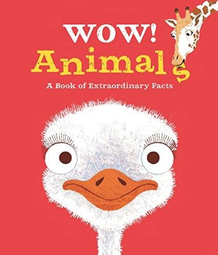 Wow! Animals - Jackie McCann | Książka w Empik