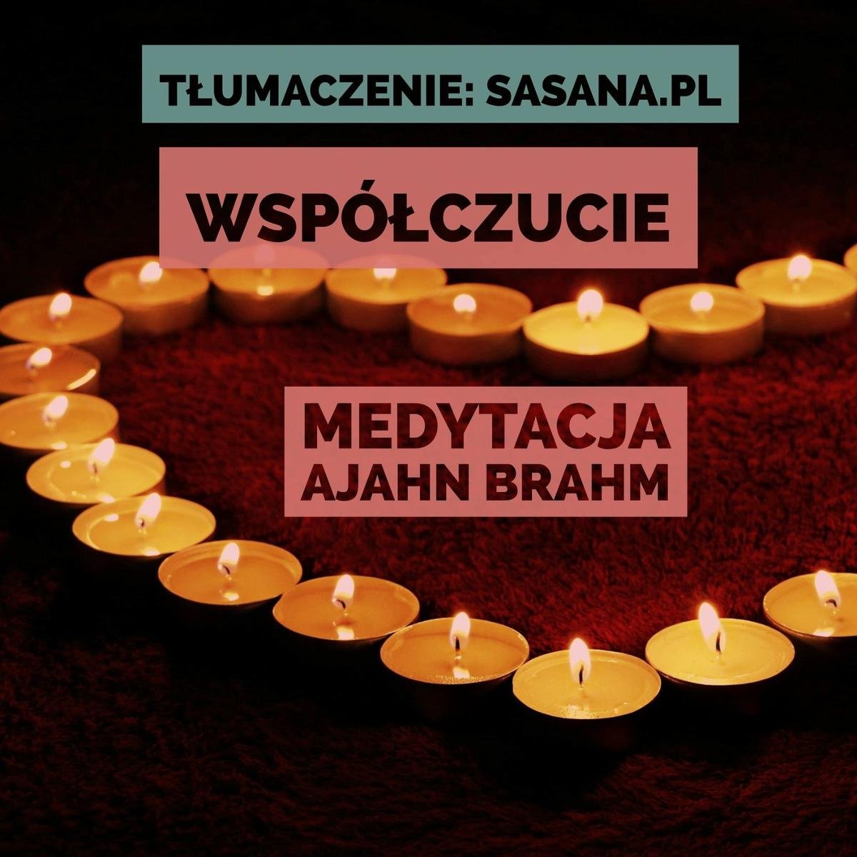 Wspolczucie - Kotek - Ajahn - Brahm - Tlumaczenie - Sasana.pl ...