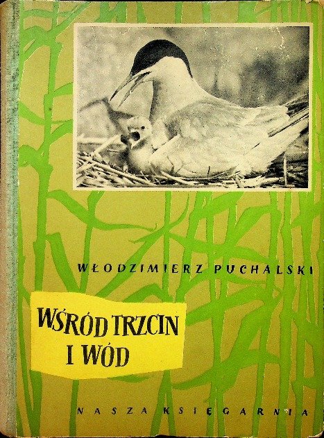 Wśród trzcin i wód - Włodzimierz Puchalski | Książka w Empik