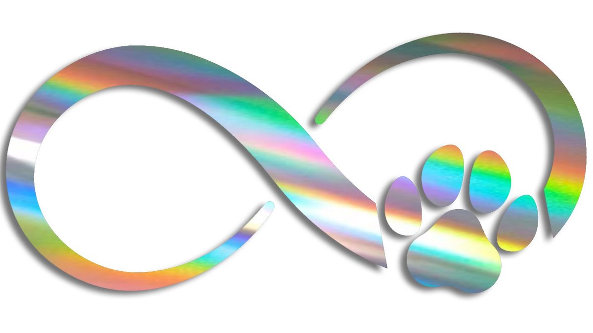 Wycinana naklejka NIESKOŃCZONOŚĆ - ŁAPKA - KOT PIES holograficzna - J ...