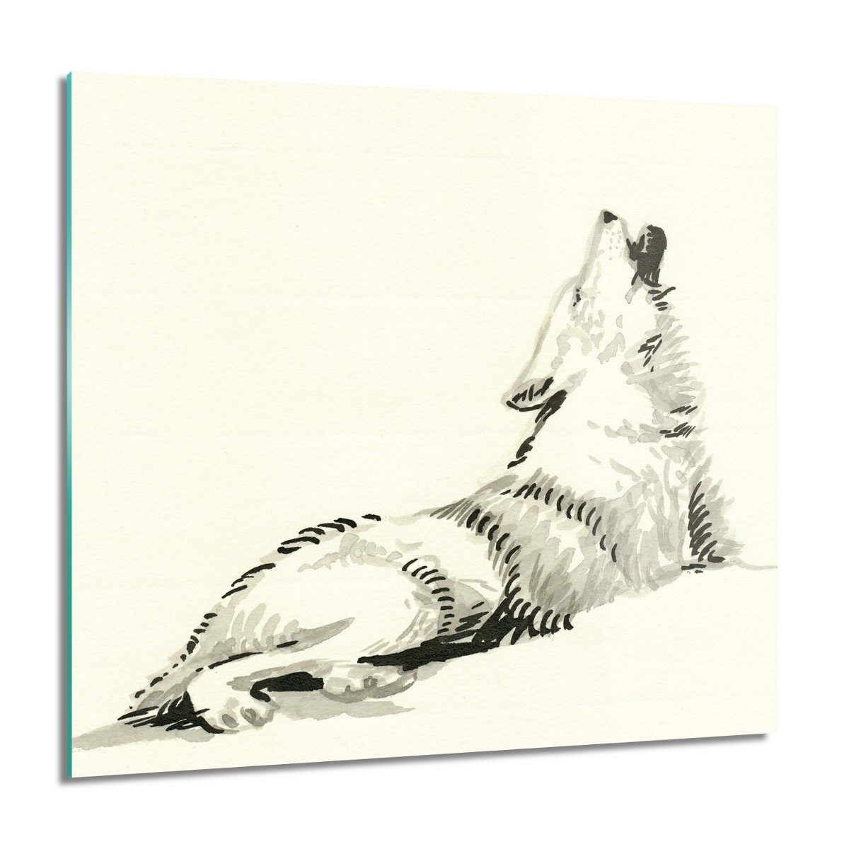 Wyjący wilk rysunek Foto na szkle ścienne 60x60, ArtprintCave ...