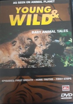 Young & wild baby animal tales CD - Opracowanie zbiorowe | Książka w Empik