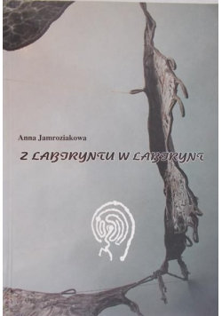 Z Labiryntu w Labirynt - Wydawnictwo Fundacji Humaniora | Książka w Empik