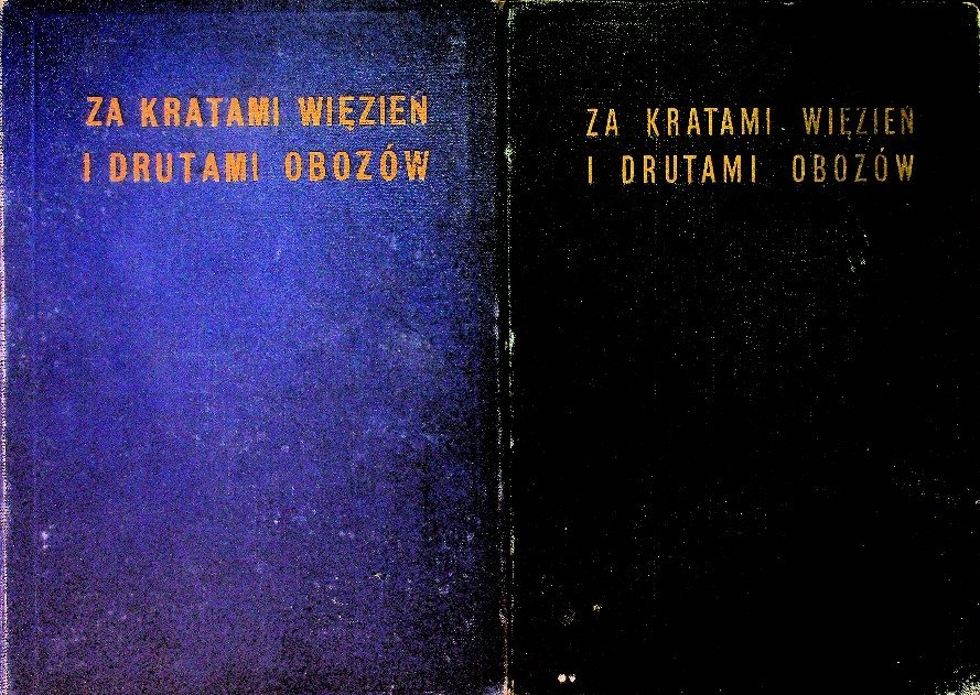 Za kratami więzień i drutami obozów Tom 1 i 2 1931 r. - Julian ...