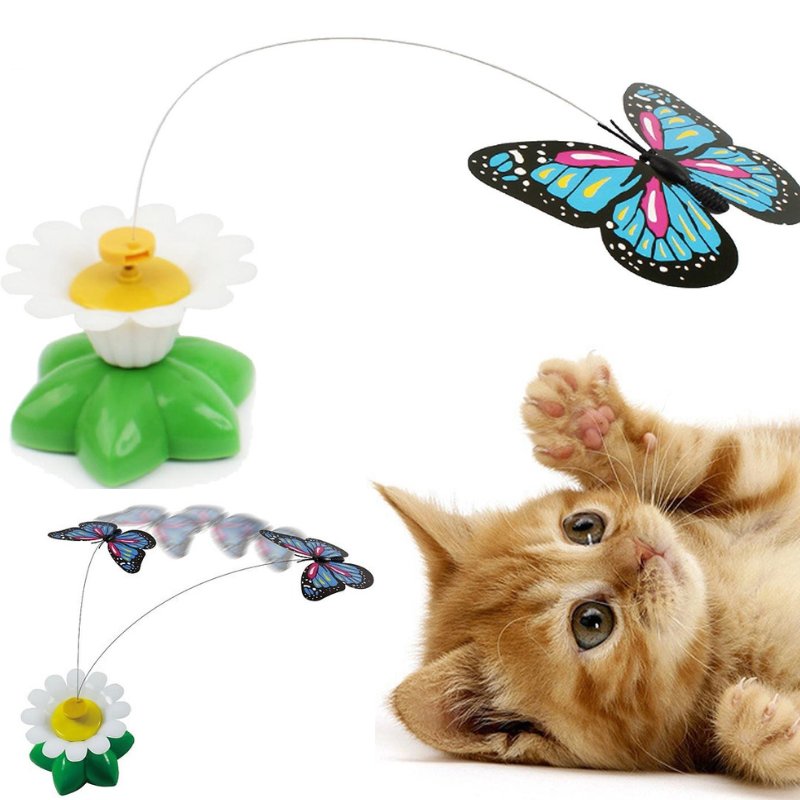 Zabawka Dla Kota Interaktywna Ruchoma Kwiat Motyl - Inna marka | Sklep ...