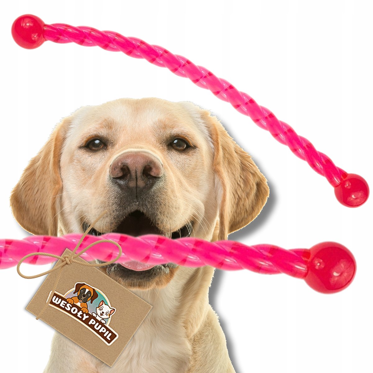 Zabawka dla psa bezpieczny mocny PATYK aport L/XL - Inna marka | Sklep ...