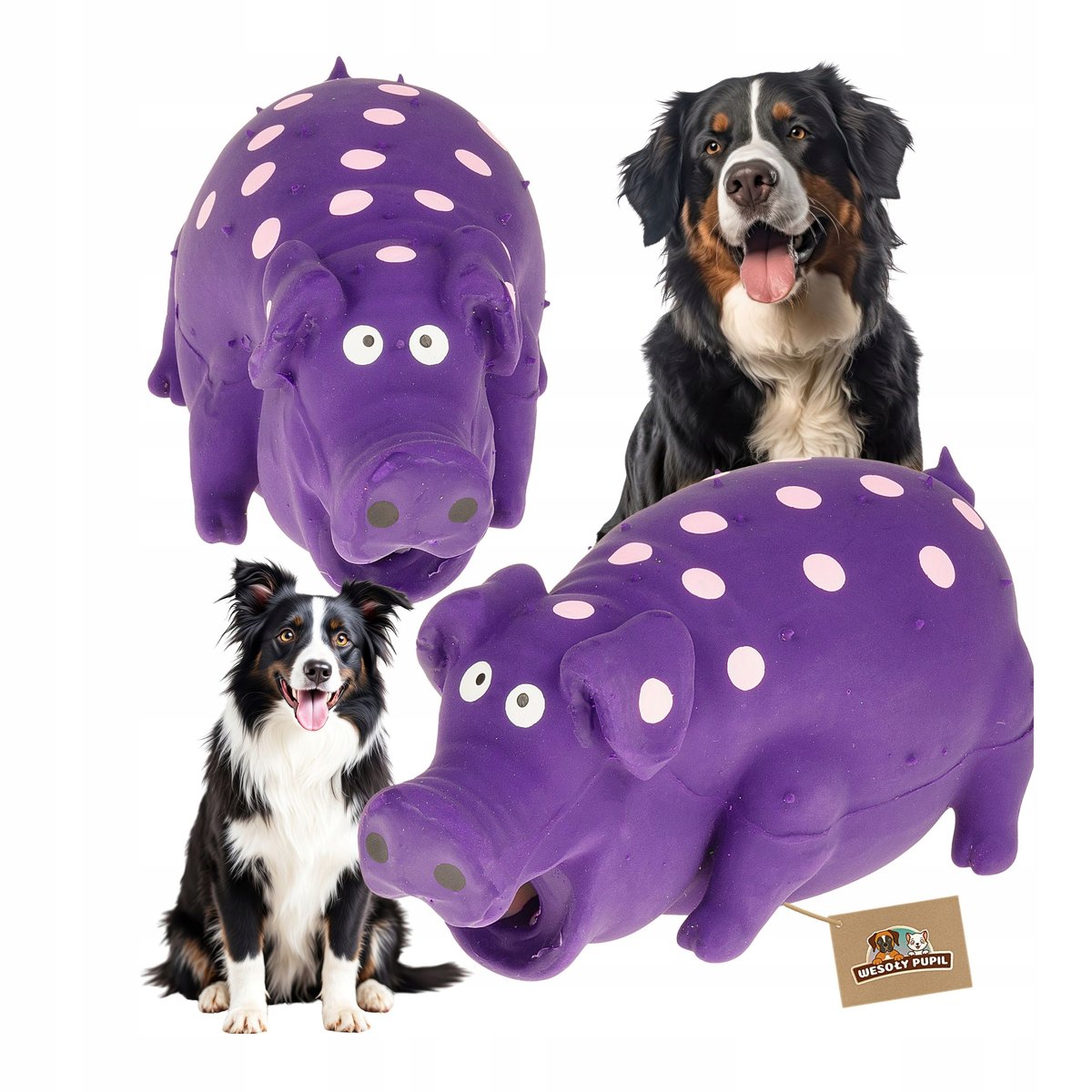 Zabawka dla psa ŚWINKA lateksowa CHRUMKAJĄCA gumowa mocno chrumka PIG ...