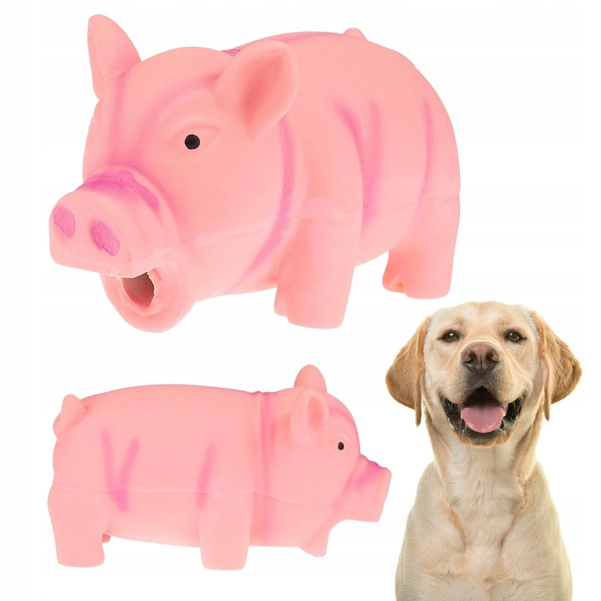 Zabawka dla psa ŚWINKA lateksowa CHRUMKAJĄCA gumowa mocno chrumka PIG ...