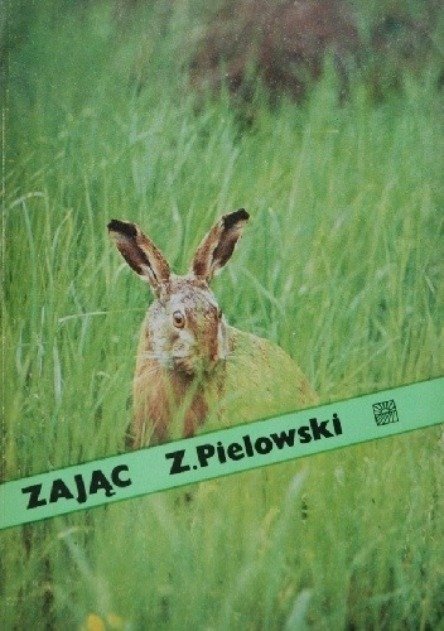 Zając - Opracowanie zbiorowe | Książka w Empik