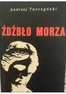 Źdźbło morza - | Książka w Empik