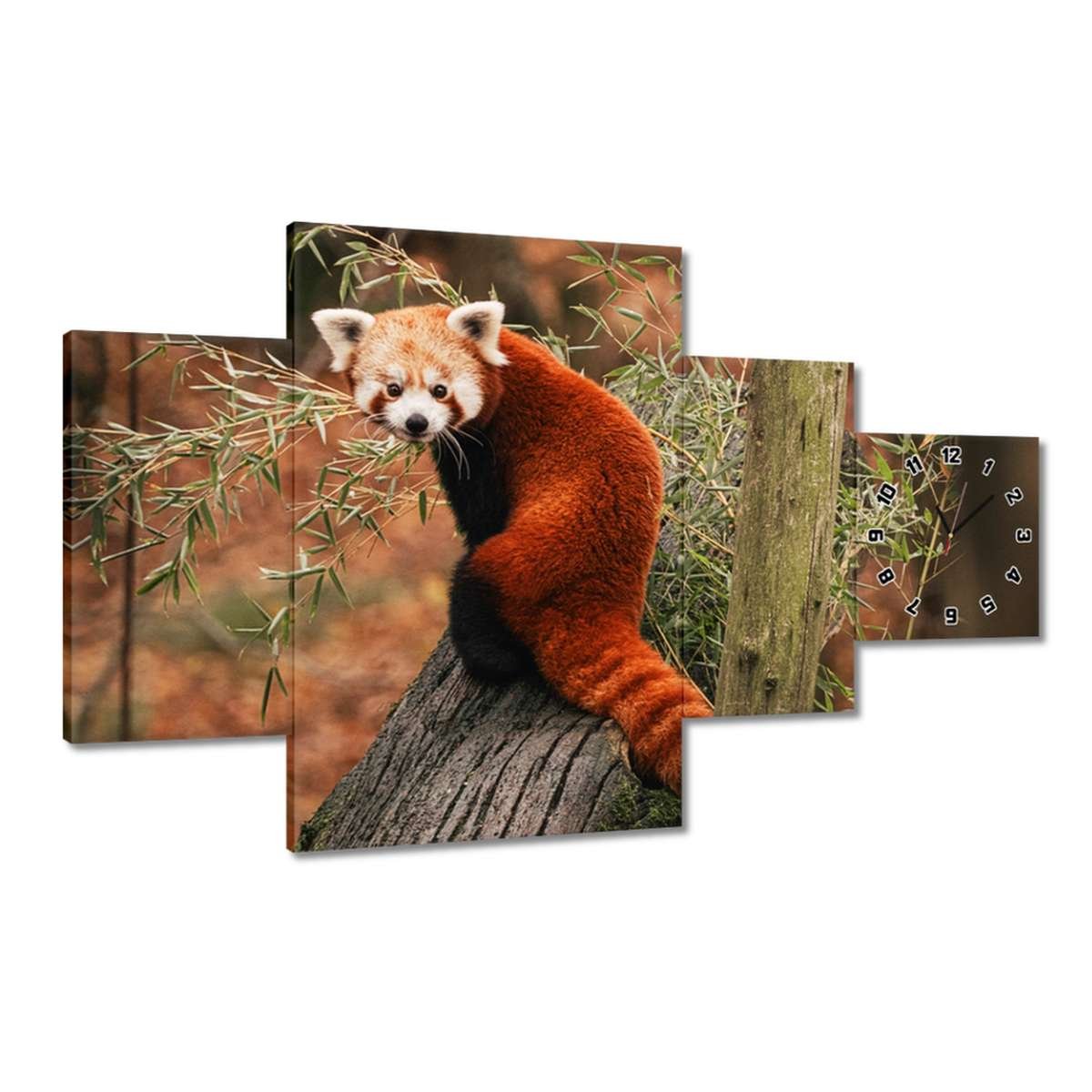 Zegar 130x80cm Pandka ruda panda mała panda czerwona mniejsza ...