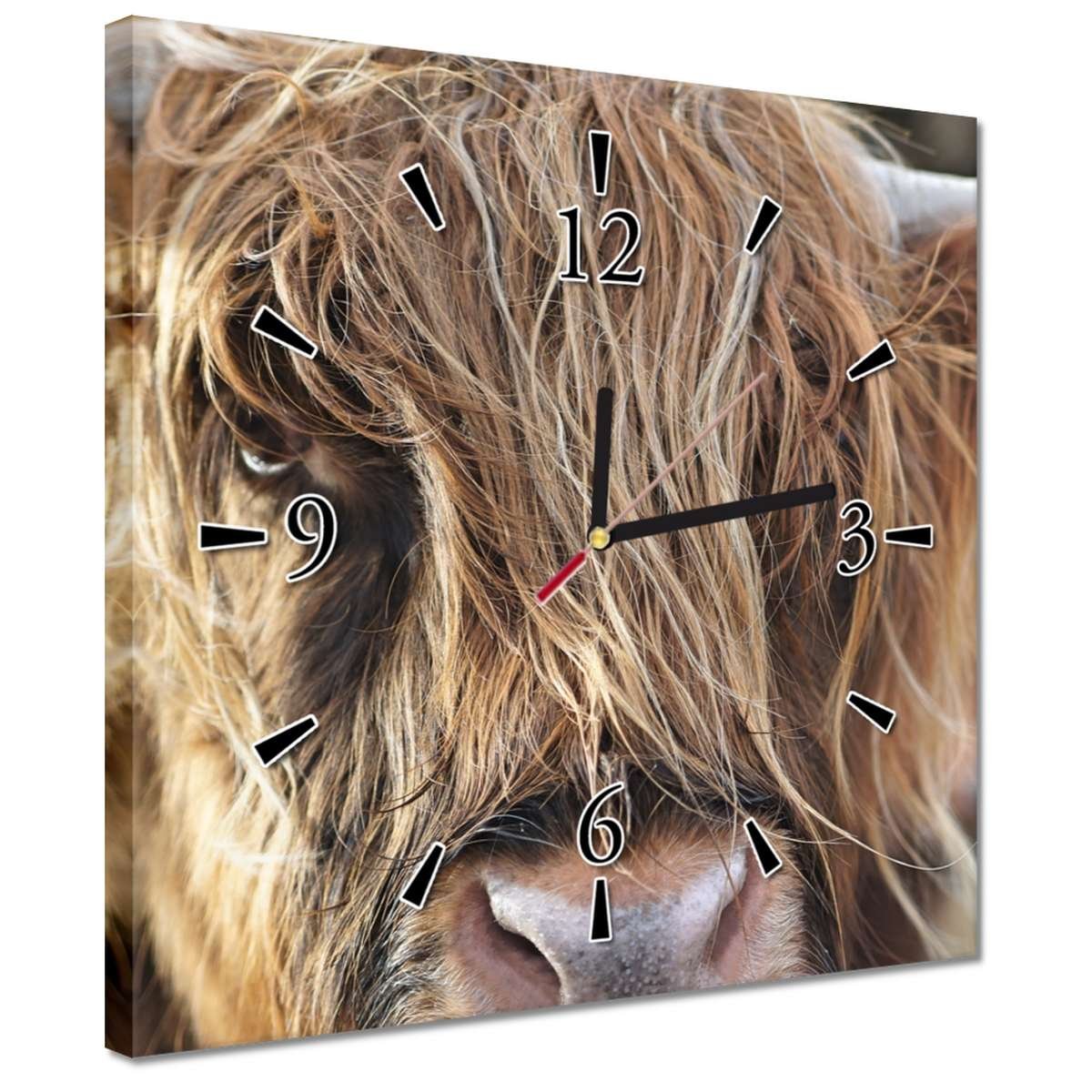 Zegar 30x30cm Krowa szkocka z rogami - ZeSmakiem | Sklep EMPIK.COM