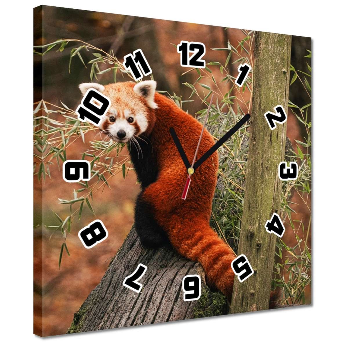 Zegar 30x30cm Pandka ruda panda mała panda czerwona mniejsza ...