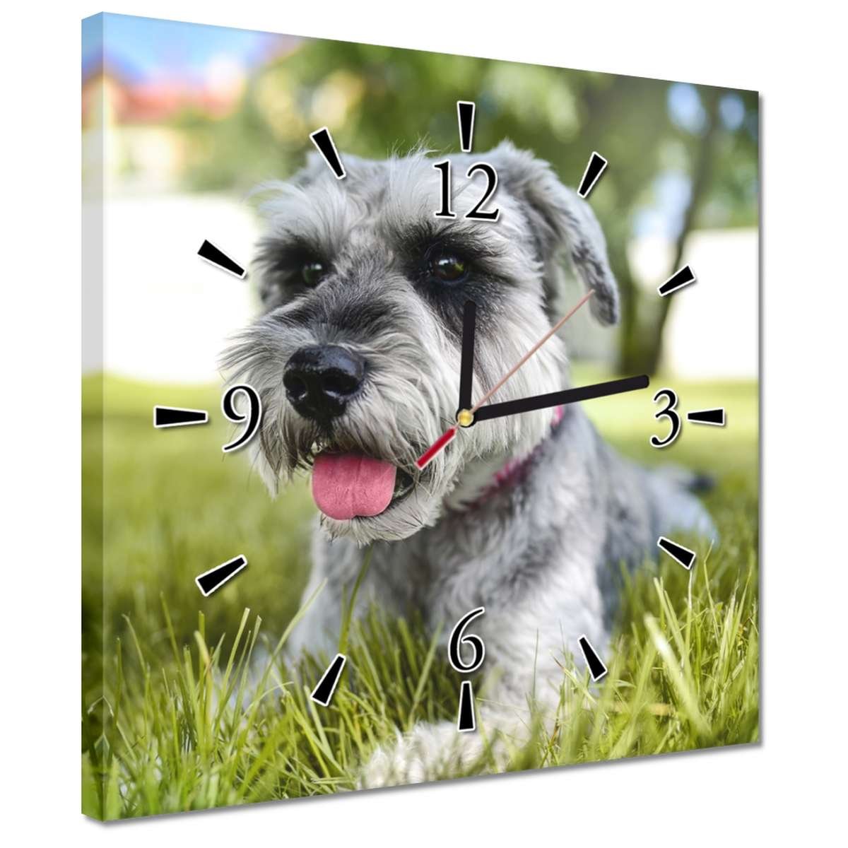 Zegar 30x30cm Słodziutki piesek Psiak - Inna marka | Sklep EMPIK.COM