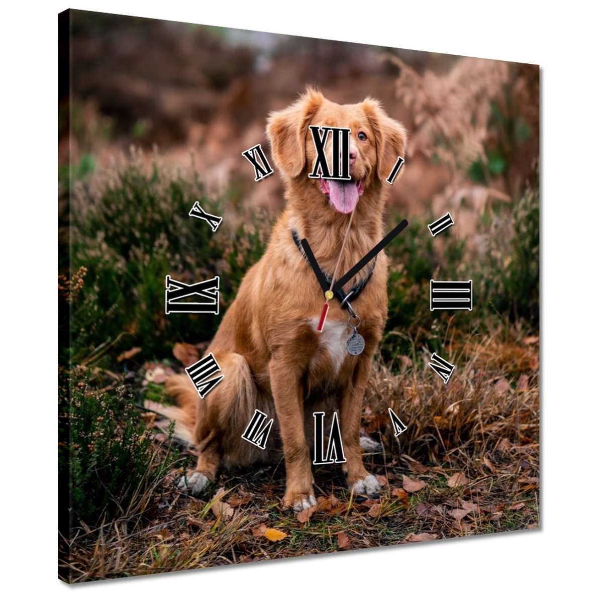 Zegar 40x40cm Pies Piesek Psiaki - ZeSmakiem | Sklep EMPIK.COM