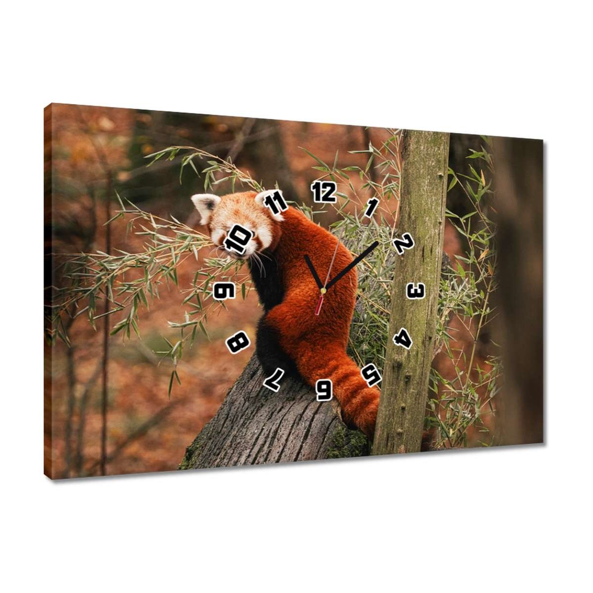 Zegar 60x40cm Pandka ruda panda mała panda czerwona mniejsza ...