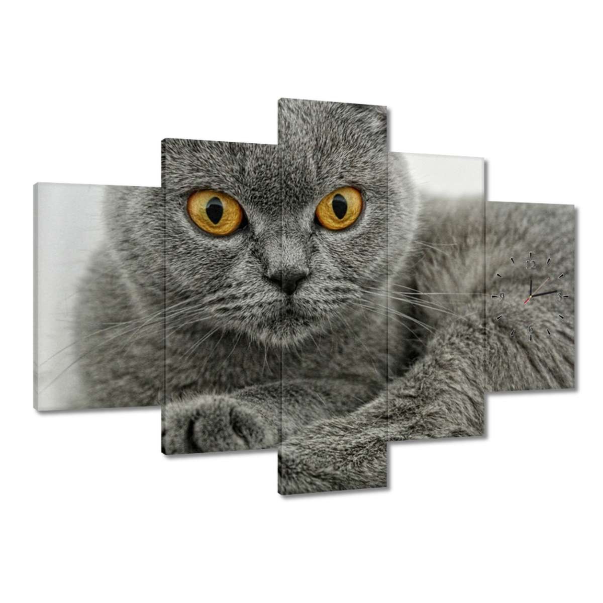 Zegar Kot brytyjski krótkowłosy, 150x105cm - ZeSmakiem | Sklep EMPIK.COM
