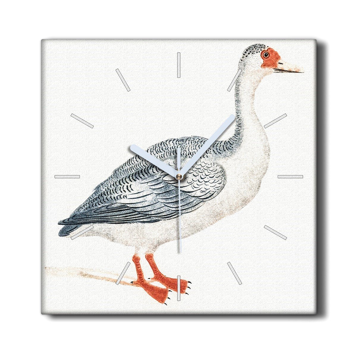 Zegar na płótnie na ścianę 30x30 Zwierzę ptak gęś, Coloray - Coloray ...