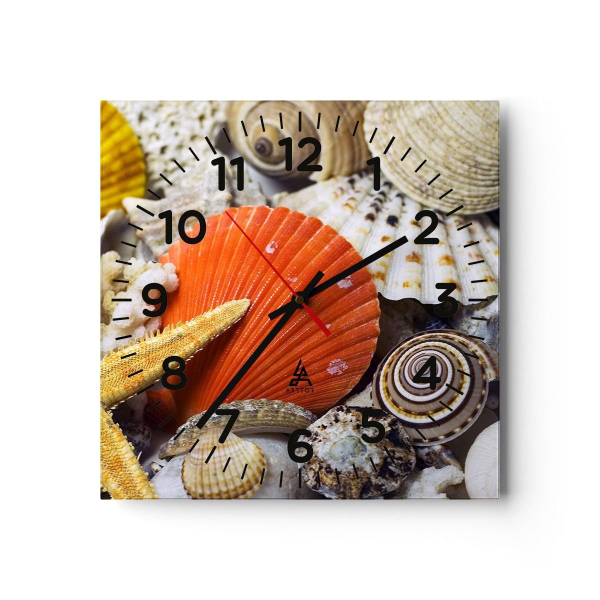 Zegar ścienny - Skarby oceanu - 40x40cm - Natura Muszle Rafa Koralowa ...