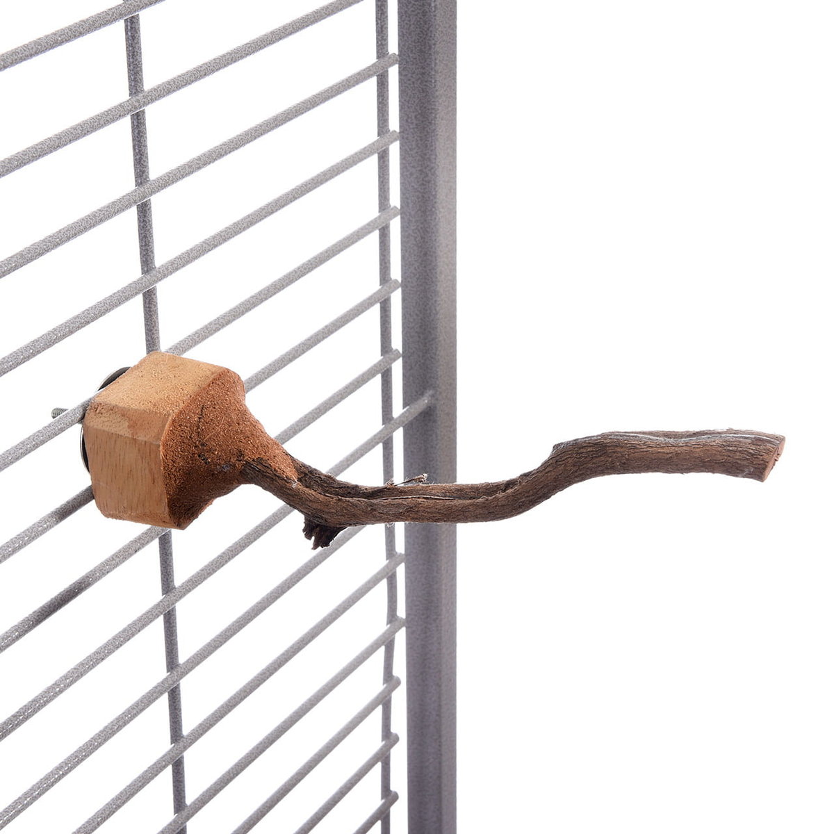 Żerdź naturalna z Liany z Mocowaniem | rozmiar M - 30cm | dla nimf i ...