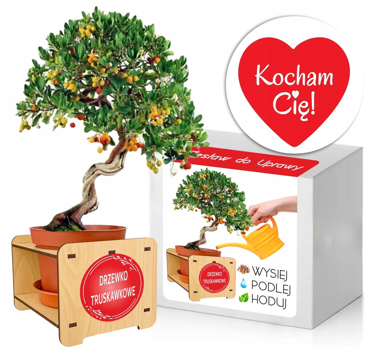 Zestaw Bonsai Drzewko Truskawkowe na Walentynki - Inna marka | Sklep ...