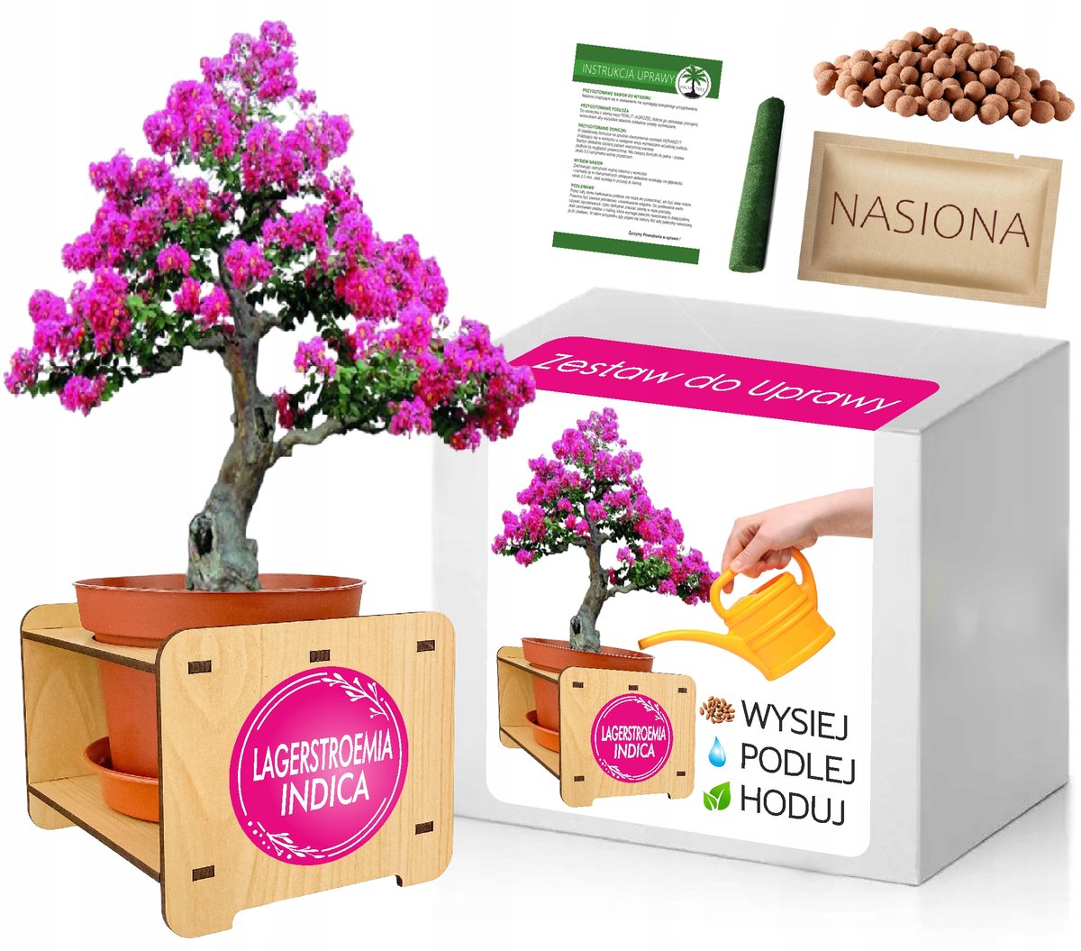 Zestaw do uprawy bonsai Lagerstroemia Indica - Palm-Tree | Sklep EMPIK.COM