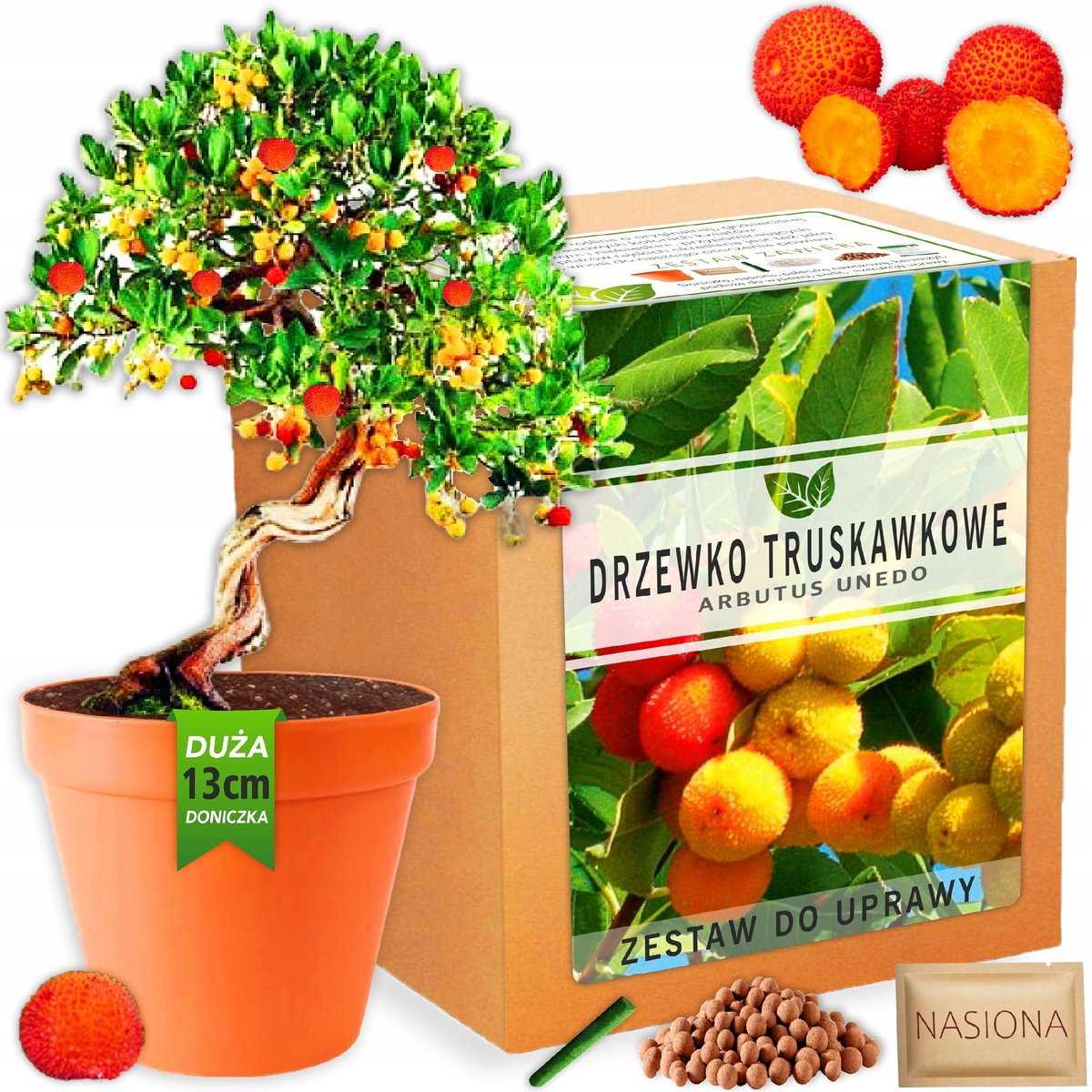 Zestaw do uprawy roślin Drzewko Truskawkowe nasiona bonsai - Palm-Tree ...