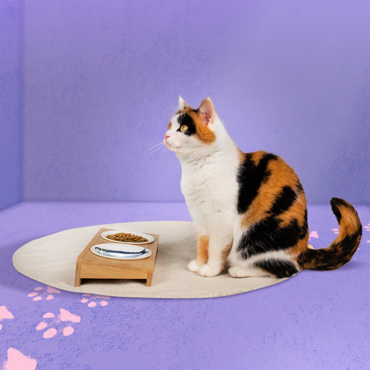 Zestaw misek dla kota - L-TEK | Sklep EMPIK.COM