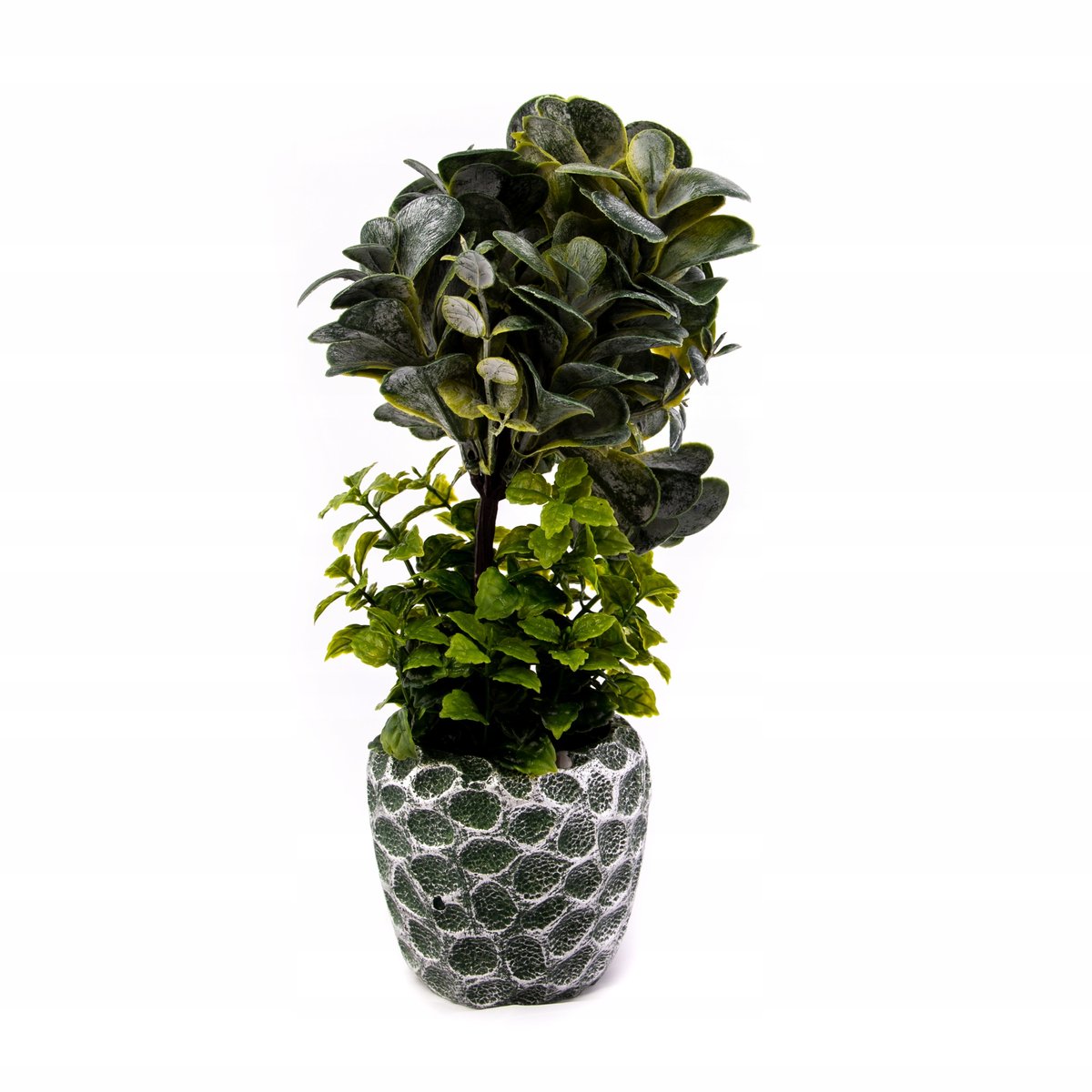 Zielona Roślina W Doniczce Dekoracja Różne Wzory - Midex | Sklep EMPIK.COM