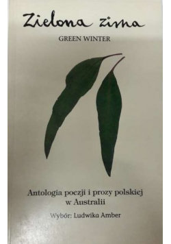 Zielona zima - Ludwika Amber | Książka w Empik