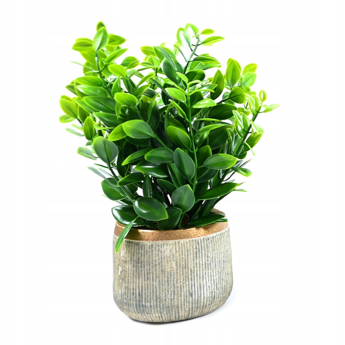 Zielony Kwiat W Doniczce Na Parapet Różne Wzory - Midex | Sklep EMPIK.COM