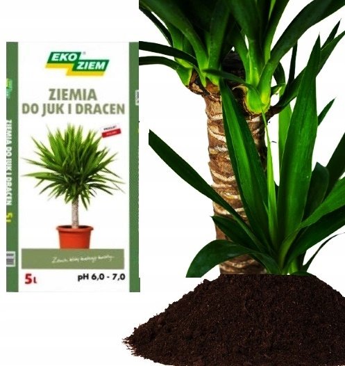 Ziemia do palm Yuk i dracen 5 l firmy Ekoziem - Skamvit | Sklep EMPIK.COM