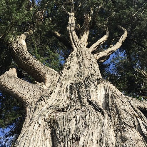 Zoddo - Flip | Muzyka, mp3 Sklep EMPIK.COM