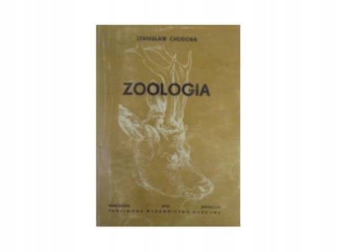 Zoologia - Chudoba Maria | Książka w Empik