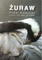 Żuraw - ptak nadziei - Kłosowski Grzegorz | Książka w Empik