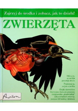 Zwierzeta - Shone Rob | Książka w Empik