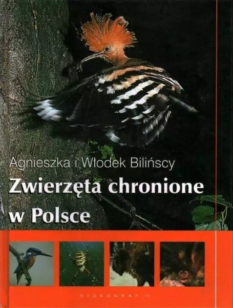 Zwierzęta Chronione W Polsce - W opisie | Książka w Empik