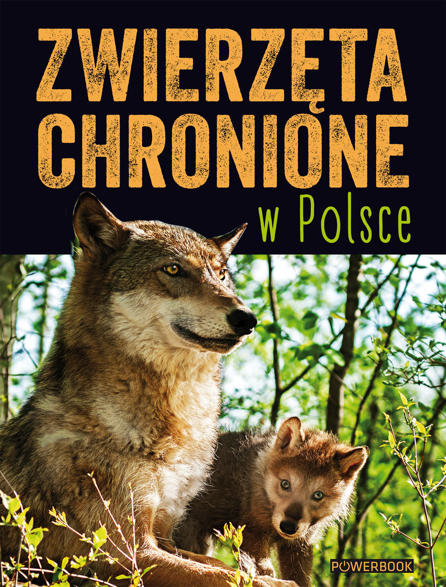 Zwierzęta chronione w Polsce - Weber Sylwia | Książka w Empik