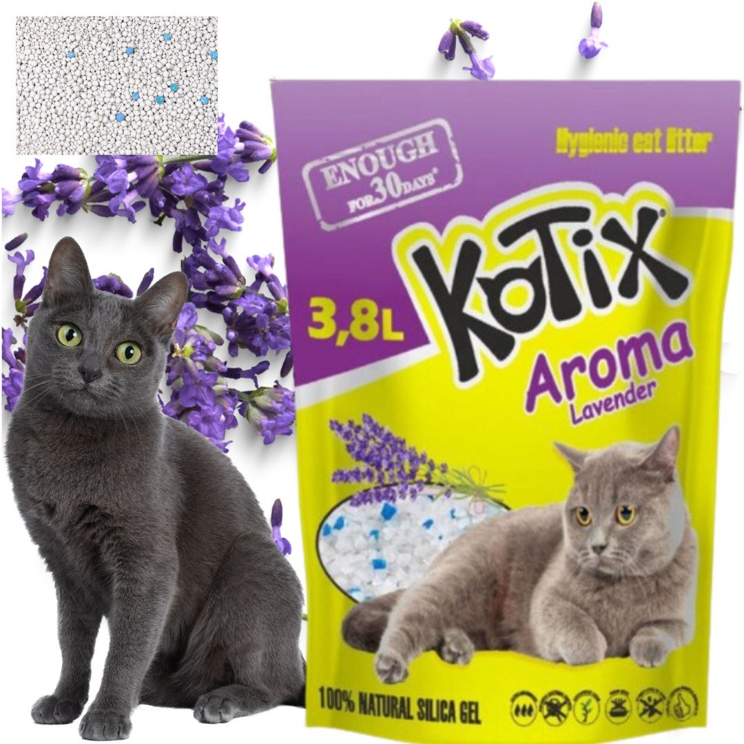 Żwirek Dla Kota Silikonowy Naturalny Lawenda Gel Cat Kotix 3,8 L 1,5 Kg - Inna marka | Sklep ...