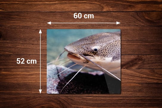 szklana splashback ze szkła Sum akwarium 60x52, ArtprintCave ...