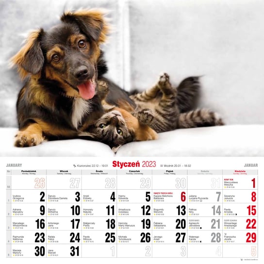 Kalendarz miesięczny, 2023, Przyjaciele - avanti | Sklep EMPIK.COM