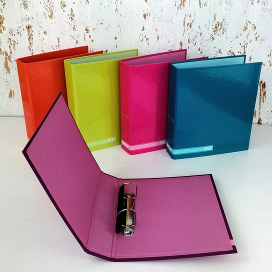 Segregator A5 2-Ringowy Biurowy Szkolny Classic Stripes - bee-bee | Sklep EMPIK.COM