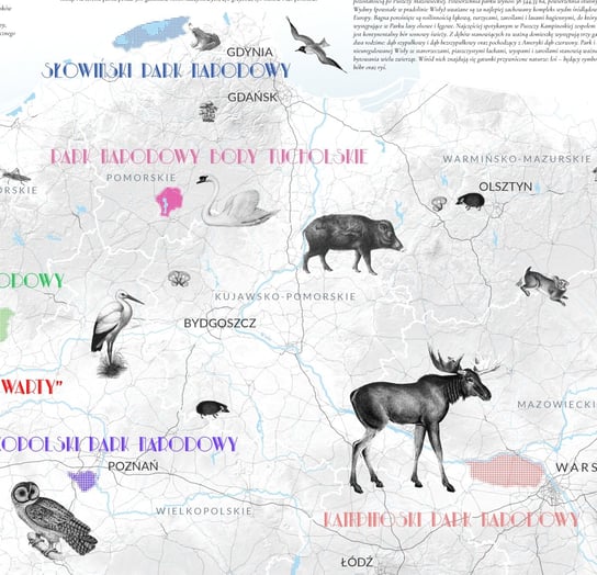 Polska Parki Narodowe plakat dla dzieci i nie tylko format 40 x50 cm ...