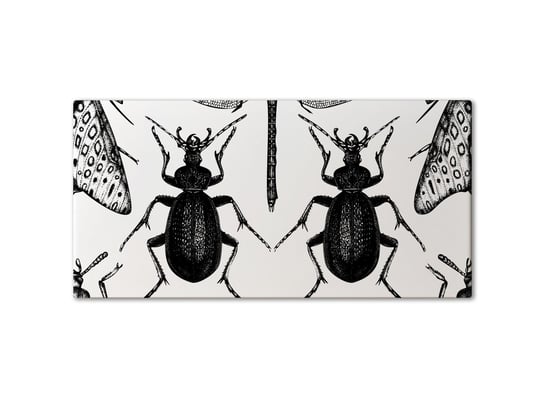 Obraz na płótnie HOMEPRINT, czarno - białe owady typ ważka, chrząszcz ...