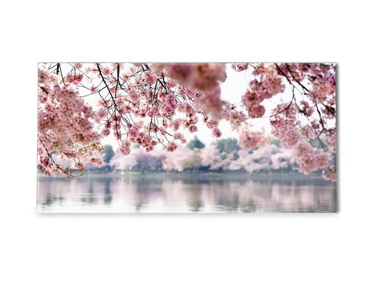 Panel kuchenny HOMEPRINT Kwiat wiśni nad Tidal Basin 140x70 cm ...