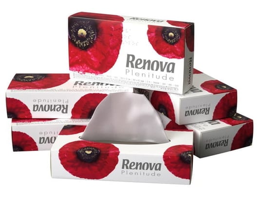 Chusteczki wyciągane Renova Plenitude 80 sztuk | Sklep EMPIK.COM