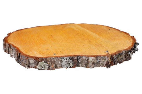 Plaster Drewna Plastry Drewniane Dąb Kora Krążek Podstawka 23-28 Cm ...