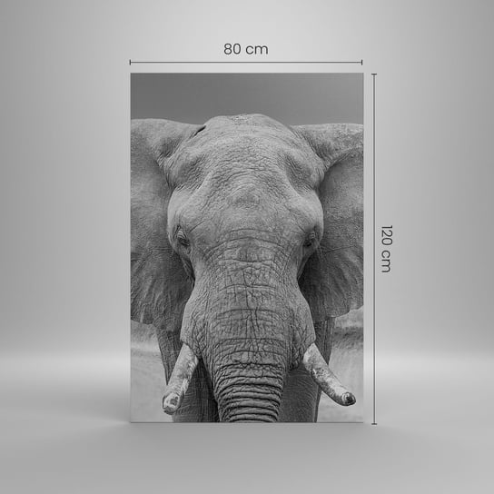 Obraz na płótnie - Witaj w moim świecie - 80x120cm - Słoń Afryka Zwierzęta - Nowoczesny obraz na ...