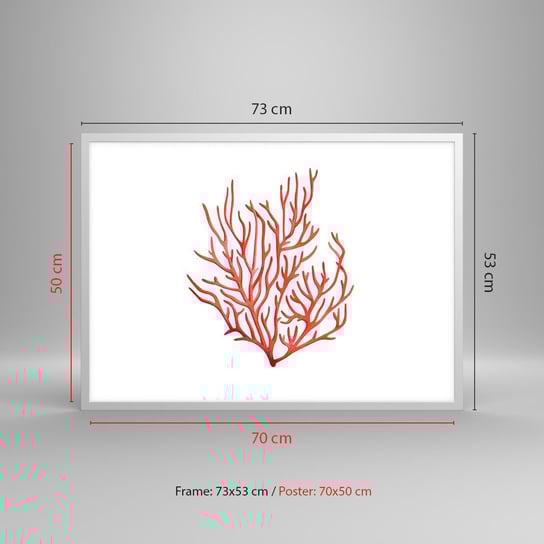 Obraz - Plakat - Koralowy filigran - 70x50cm - Rafa Koralowa Nadmorski ...