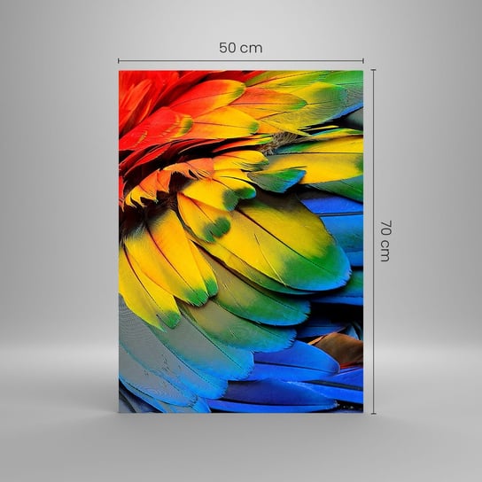 Obraz na szkle - Rajski ptak - 50x70cm - Kolorowe Pióra Pióra Papugi ...